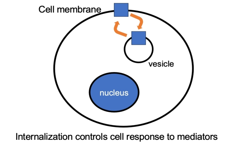 Institute of Functional Genomics (IGF) - Montpellier - CNRS